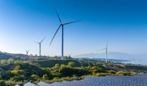 Bite-sized report: AER Wholesale Markets Quarterly — Q1 2025